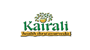 Kairali Ayurvedic Group Launches KAAI: Innovative AI Application - CIO ...